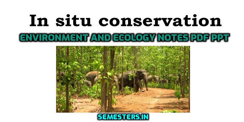 In-Situ Conservation Of Biodiversity purpose and use - semesters.in